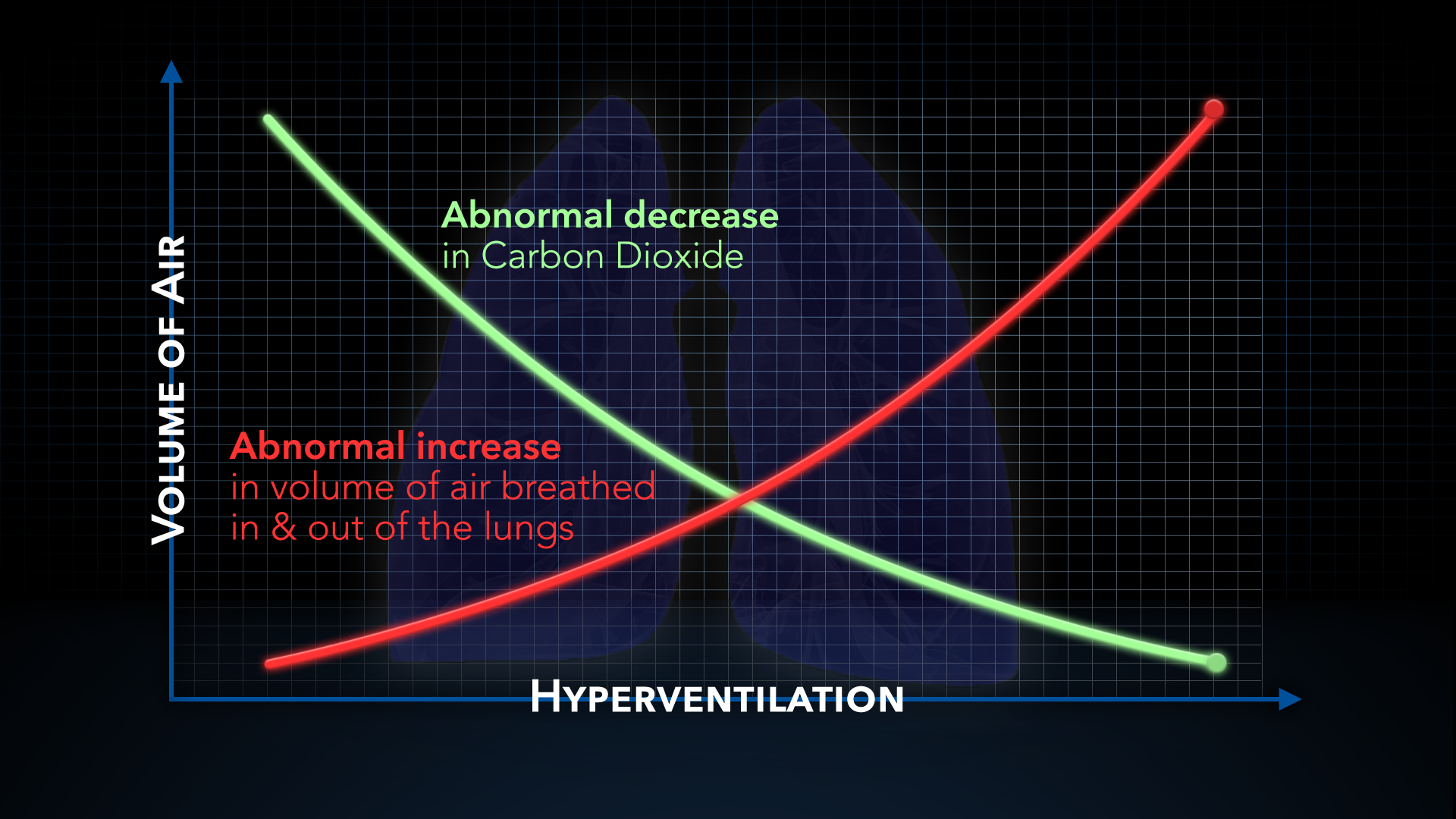 Quiz: How Does The Body React To Flight? : Flight Training Central